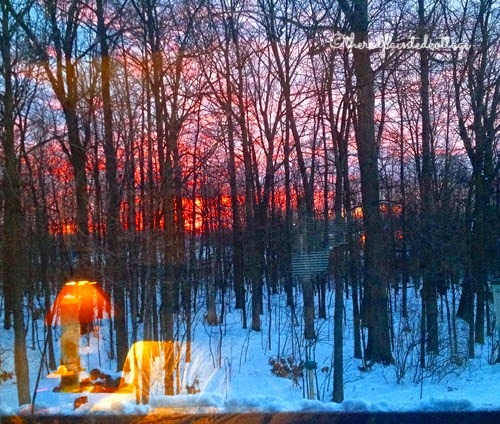 winter sunset with watermark-2 - The Red Painted Cottage