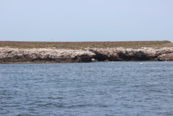 The Marietas Islands In Mexico - The Red Painted Cottage